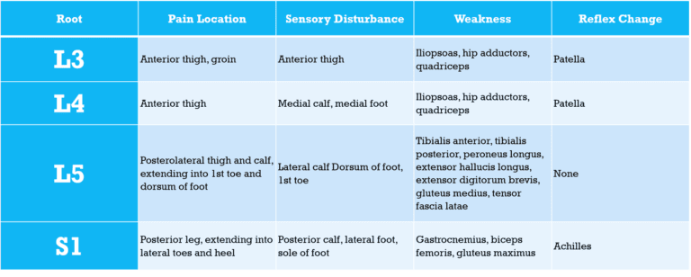 Roots and Radiculopathies | NowYouKnow Neuro